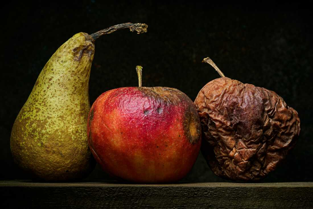 Rotten Fruit - weeklydevotion