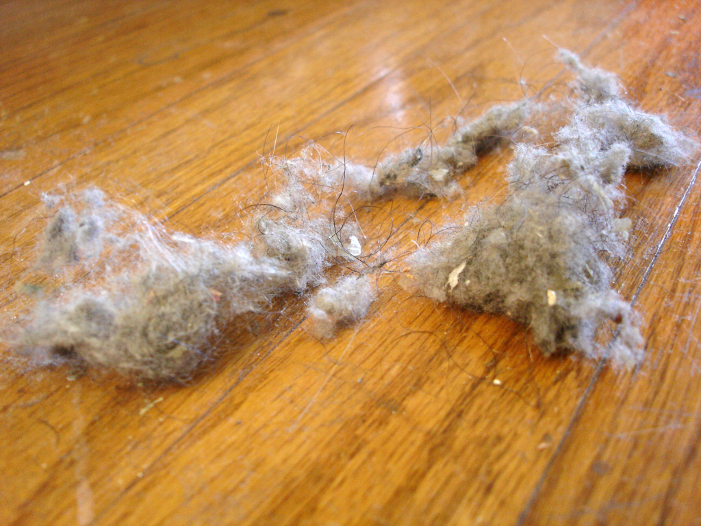 You Are More Than Dust - weeklydevotion